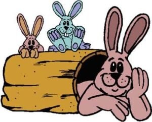 International Rabbit Day, a September Holiday. Bunnies.
