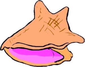 National Seashell Day, June 21 Holiday. Seashells on the Beach.