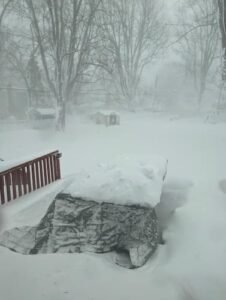 January This Day in History, Historic January Events.