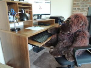 Monkey Around Day, June 14. Goof Off, Go Ape, Eat Bananas.